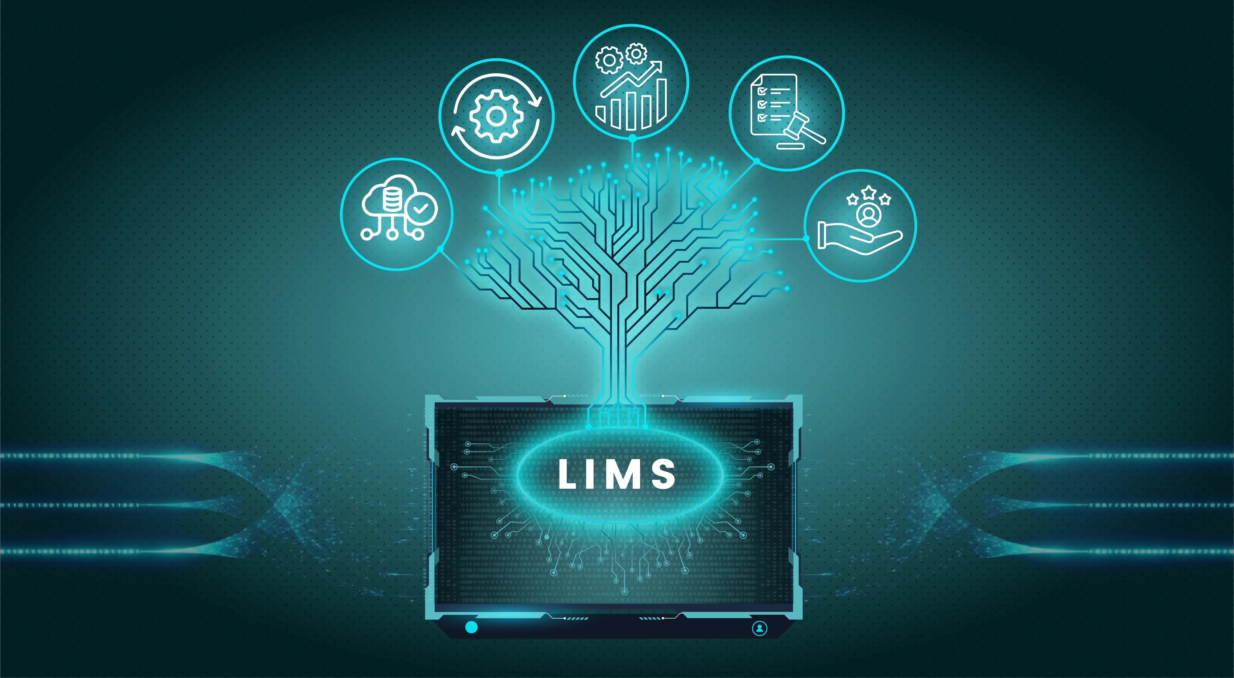 Die Kosteneffizienz von LIMS-Software